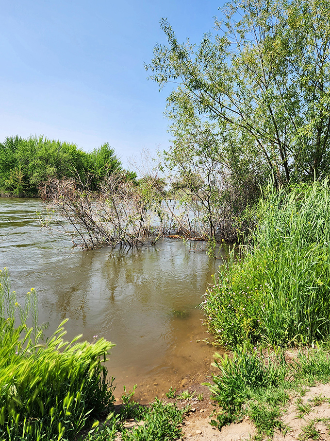 The Payette River's gentle banks create peaceful retreats where the only sounds competing for attention are birdsong and the soothing ripple of water against shore.