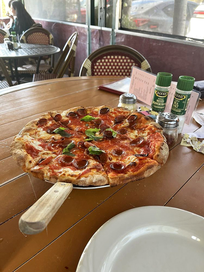 Pizza perfection achieved! Those curled pepperoni cups create tiny flavor pools that should be declared national treasures. Resistance is futile.