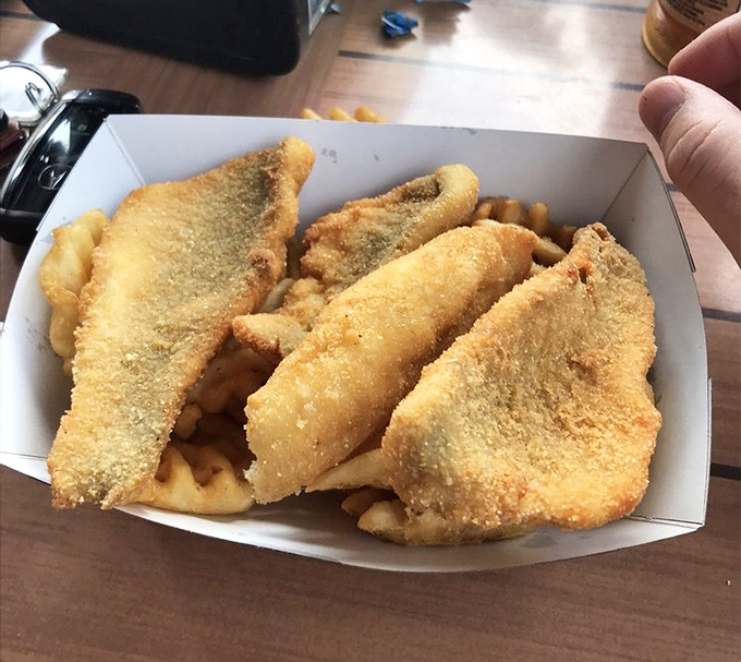 Golden-fried perch fillets nestled against crispy fries&mdash;a perfect marriage that proves simplicity is the ultimate sophistication when it comes to fresh lake fish.