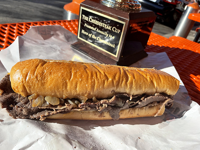 Behold the hero of our story: thinly sliced ribeye nestled in a perfect roll with grilled onions. No fancy garnishes needed when the fundamentals are this good.