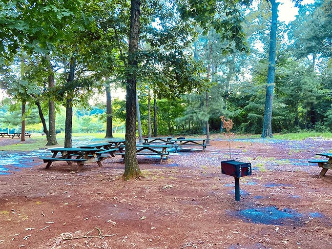 Picnic tables scattered beneath a canopy of pines&mdash;nature's dining room where even a simple sandwich tastes like gourmet fare.