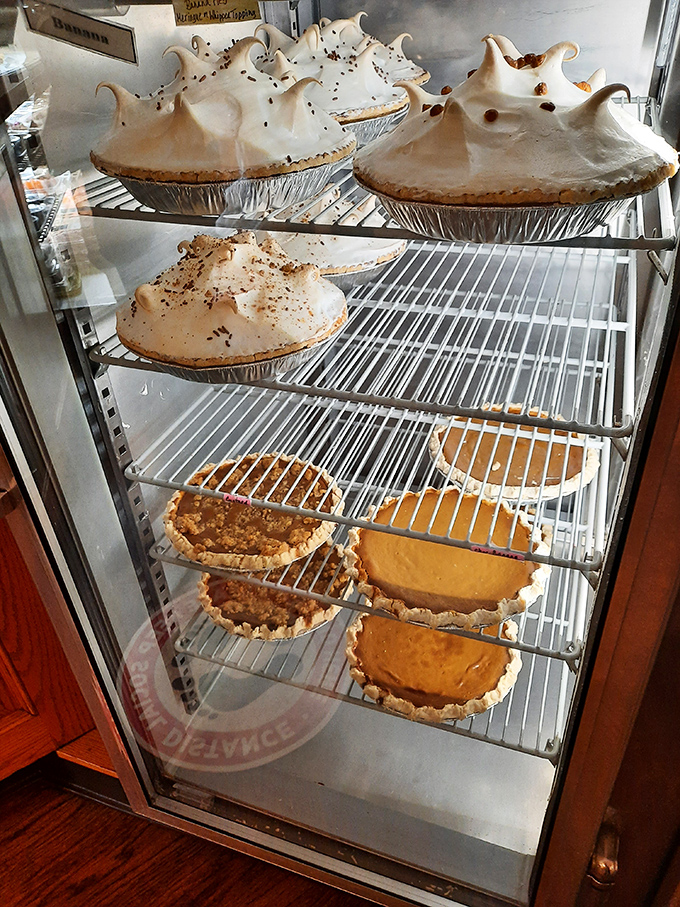 Meringue peaks that would make the Alps jealous stand guard over custard treasures. Pie display cases: the only windows shopping I genuinely enjoy.