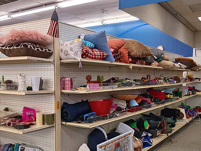 The pillow section: where your grandmother's needlepoint masterpiece might be hiding between modern throw cushions.