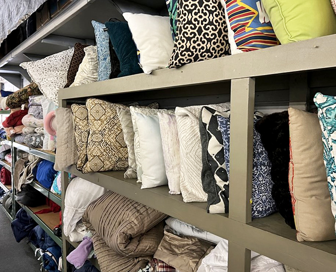 Pillows stacked like textile treasure, each one ready to refresh your couch without requiring a second mortgage payment.