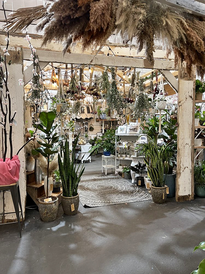 This plant-lover's paradise combines dried botanicals with living greenery, creating a secret garden oasis amid the treasure hunting.