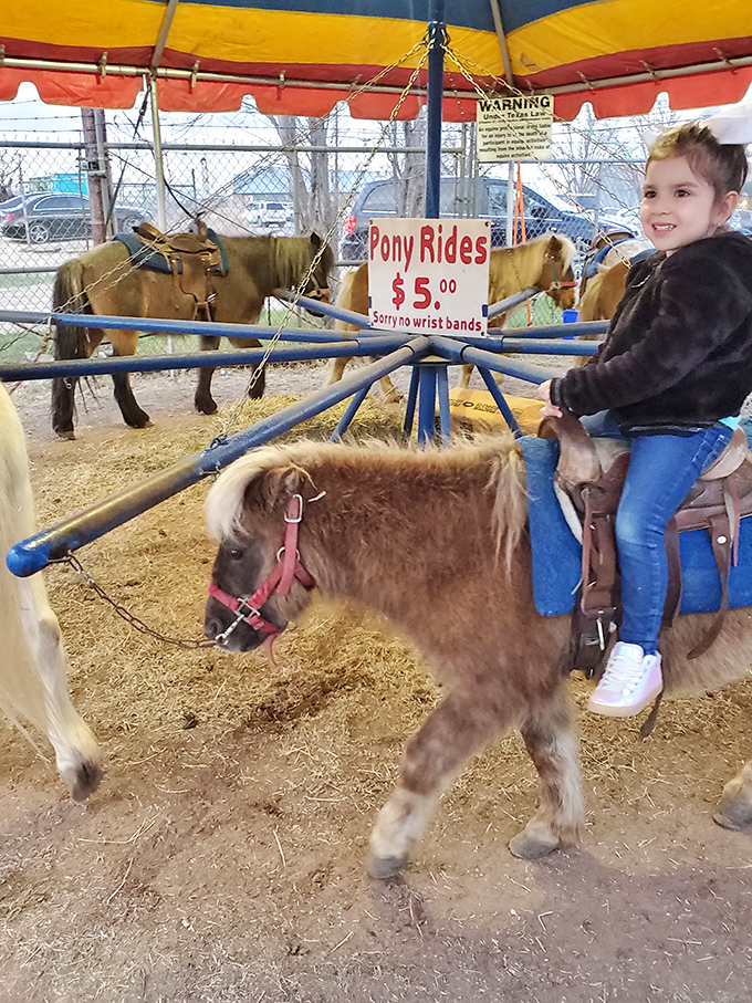 Nothing says "authentic Texas childhood" quite like a pony ride at the fair, creating memories that last longer than those designer jeans.