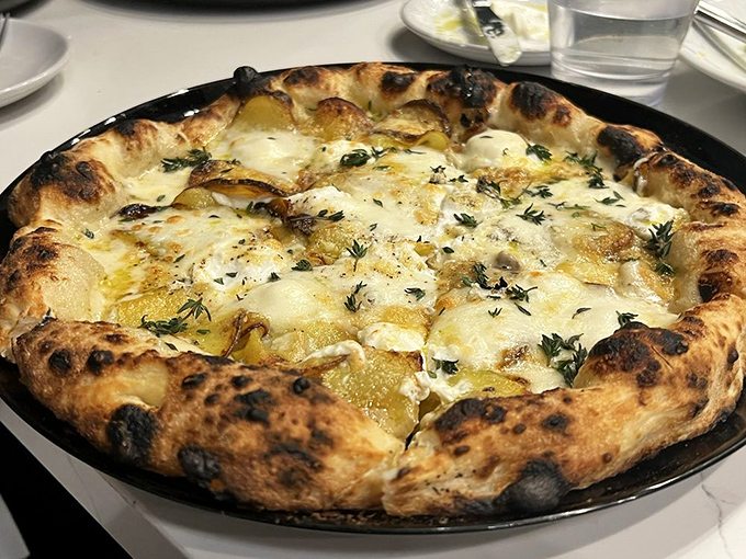 Not all pizzas wear red. This potato masterpiece proves that sometimes the best things in life come without tomato sauce.