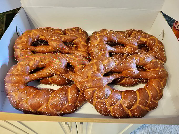 These aren't just pretzels; they're twisted masterpieces of dough engineering. Michelangelo sculpted David; Germans perfected the pretzel.