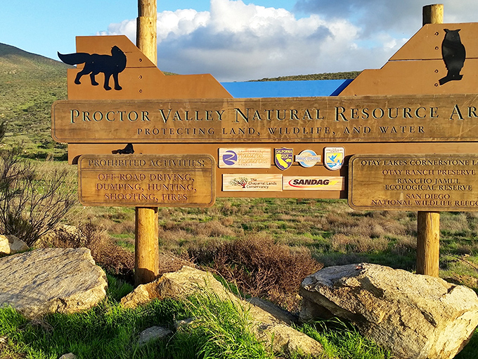 Proctor Valley Natural Resource Area preserves wild California landscapes where hiking costs nothing but time and comfortable shoes.