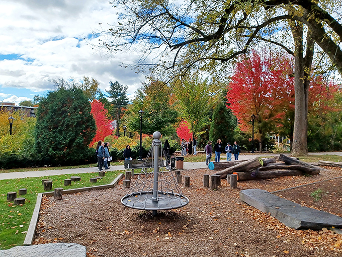 Fall foliage creates nature's most spectacular light show. No tickets required, though the seasonal performance has limited engagements.