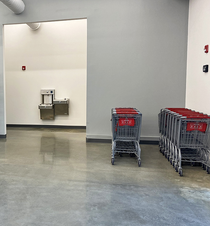 Shopping carts stand at attention, ready for their next treasure-hunting expedition. These red-badged chariots will soon be filled with someone's perfect finds.