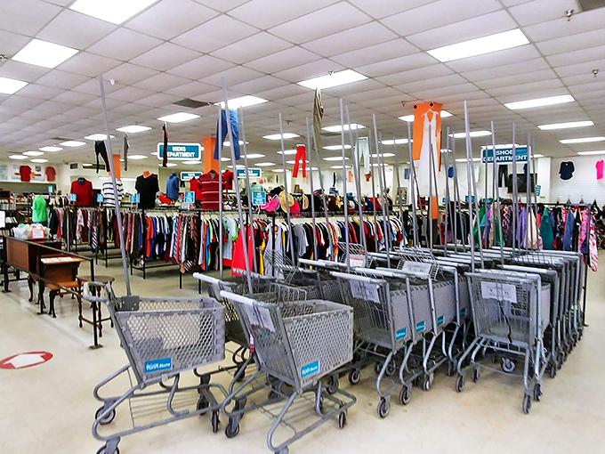 Shopping carts stand at attention, ready for their mission. These silver chariots have carried more treasures than Indiana Jones on a good day.