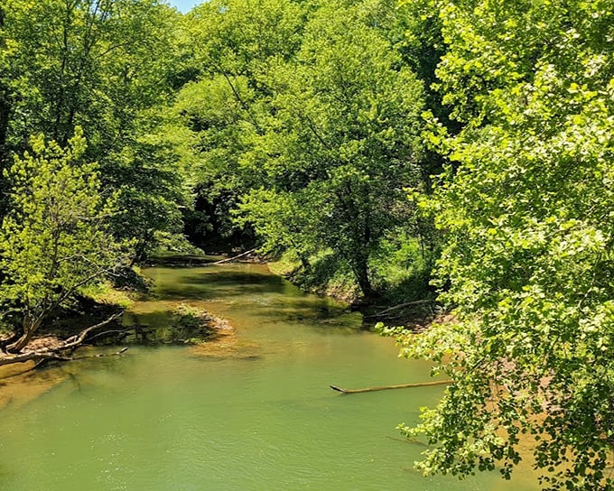Raccoon Creek meanders peacefully through the forest, offering a serene counterpoint to the tunnel's spooky reputation and industrial past.