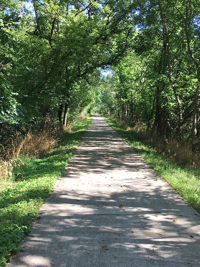 Nature creates the perfect canopy along the Raccoon River Valley Trail, where dappled sunlight guides cyclists through Jefferson's verdant countryside.