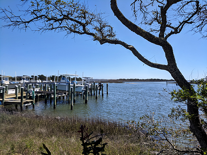 Where boats meet wilderness&mdash;Rachel Carson Reserve offers front-row seats to nature's daily performance, no tickets required.