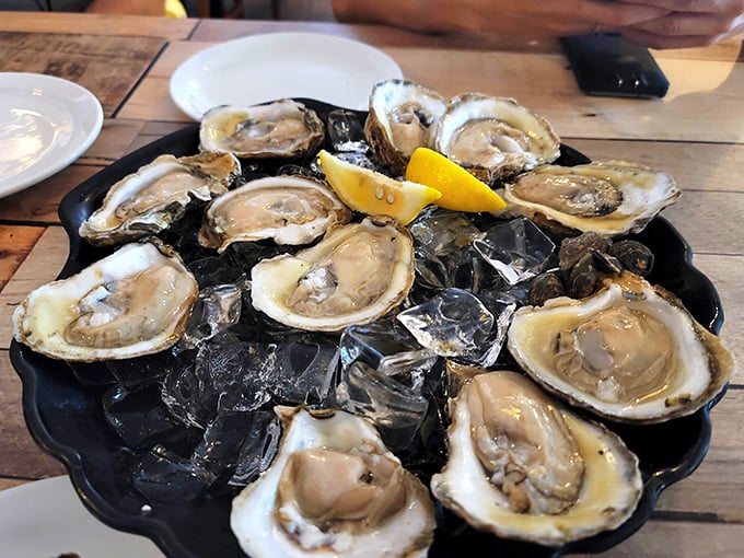 Raw oysters so fresh they practically wink at you, arranged like briny jewels on a bed of ice. Ocean perfection.