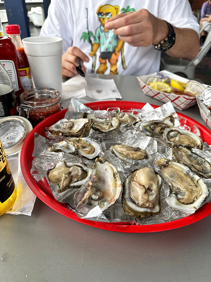 These oysters aren't just served; they're presented like the coastal treasures they are. Nature's perfect appetizer requires nothing but a squeeze of lemon.