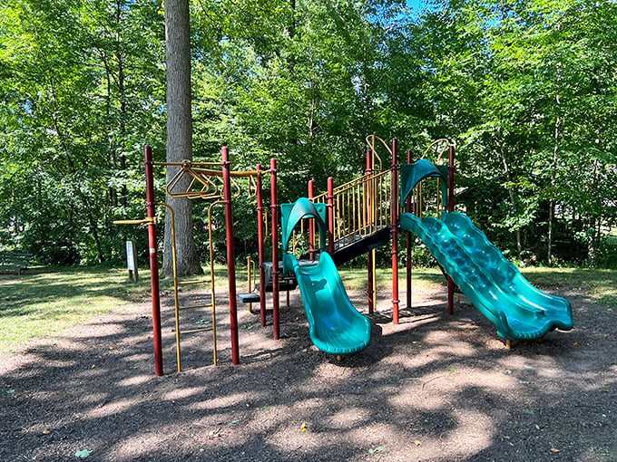Childhood joy never goes out of style! This playground tucked beneath towering trees offers the timeless soundtrack of laughter and the squeak of swing sets.