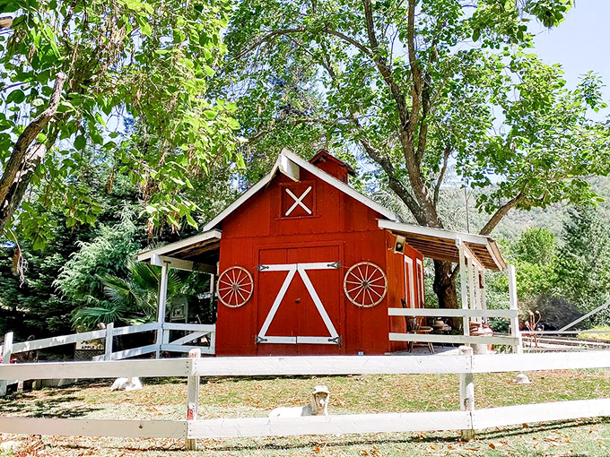 Old MacDonald would approve of this picture-perfect red barn, offering a slice of rural charm that feels like stepping into a children's storybook illustration.