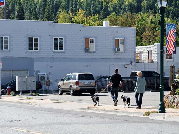 Locals stroll with their four-legged companions along tree-lined streets where neighbors still wave and conversations happen face-to-face rather than through screens.