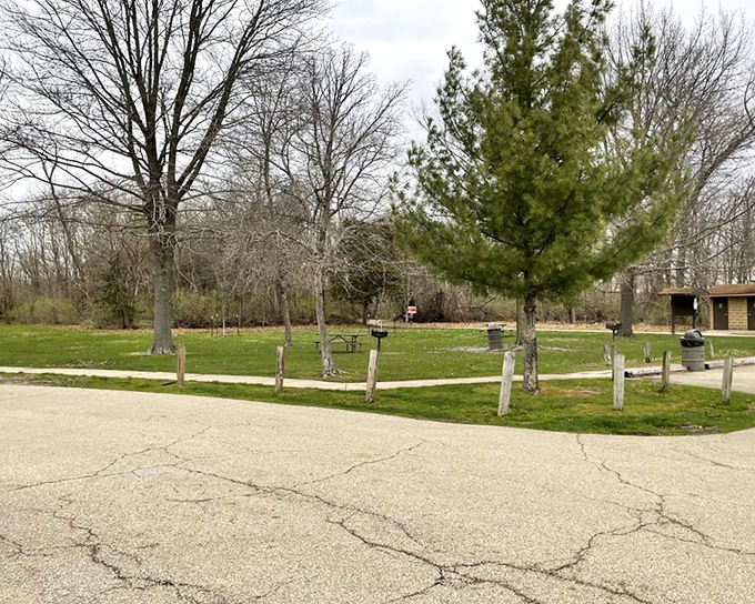 Simple pleasures: a grassy picnic area where generations of Illinois families have spread blankets and created memories between adventures.