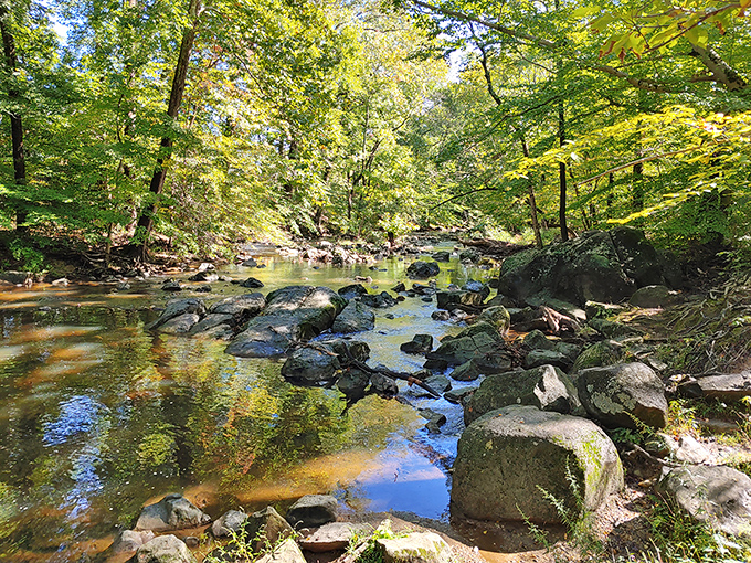 Nature's tranquility just minutes from downtown. White Clay Creek's gentle waters and smooth stones create a meditation spot worth seeking out.