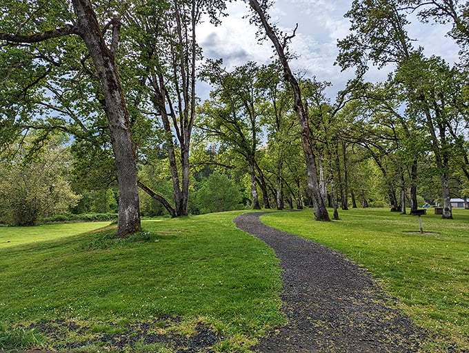 River Forks Park playground: where grandkids burn energy while you remember when slides didn't require safety certifications.