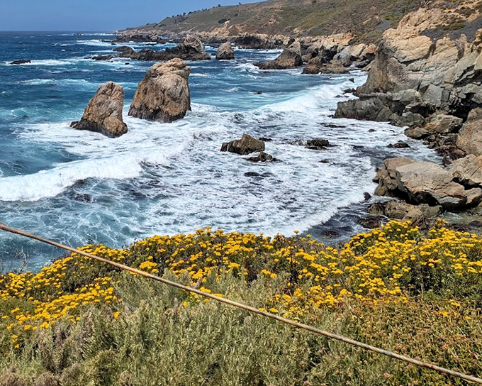 Mother Nature's sculpture garden where water meets rock in an endless dance. Golden wildflowers provide front-row seats to this geological masterpiece.