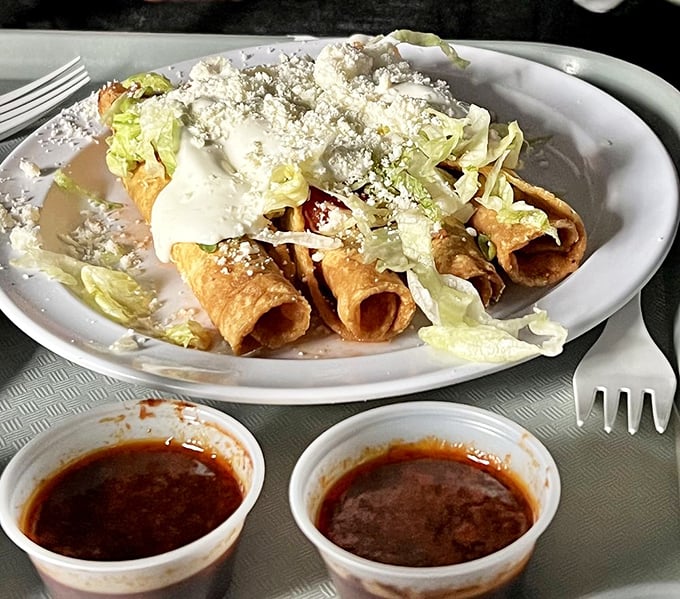 Golden-fried perfection: rolled tacos crowned with fresh lettuce, a snowfall of cheese, and those two little cups of salsa that promise to change your life forever.