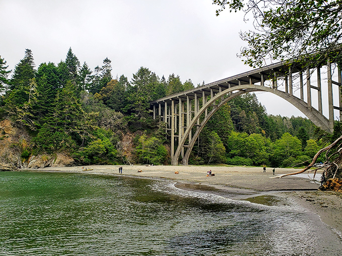 That's not just any bridge—it's an architectural exclamation point spanning Russian Gulch, where beach-goers look tiny beneath its magnificent concrete arch.