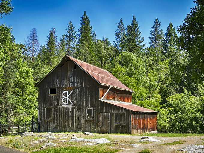 This weathered barn with its rusty roof tells stories of California's agricultural past better than any history book could.