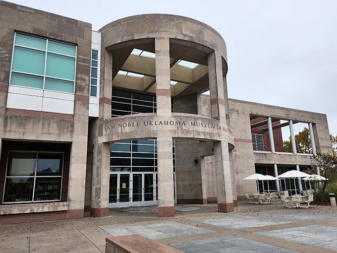 The Sam Noble Museum's architecture alone tells you something extraordinary awaits inside, probably involving dinosaurs and wonder.