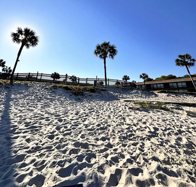 Palm sentinels standing guard over paradise. These trees have witnessed countless sunsets while visitors below create their own postcard moments.