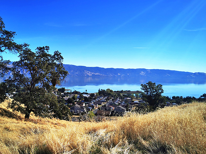 From this hillside perch, Lakeport unfolds like a miniature model village. Clear Lake shimmers below, promising endless summer adventures.
