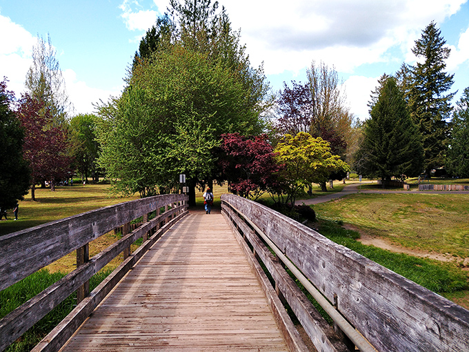 This wooden footbridge at Schaefer County Park isn't just a path—it's a portal to the kind of tranquility that usually requires an expensive meditation app subscription.