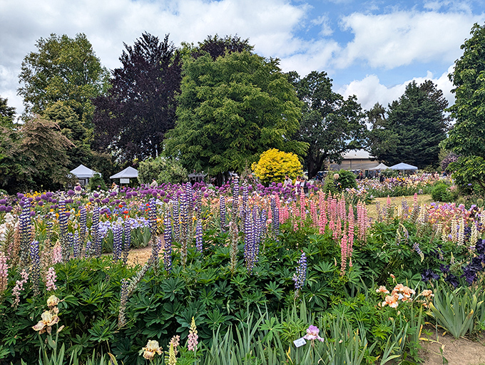 Schreiner's Gardens erupts in colors that would make Monet drop his paintbrush and just applaud instead.
