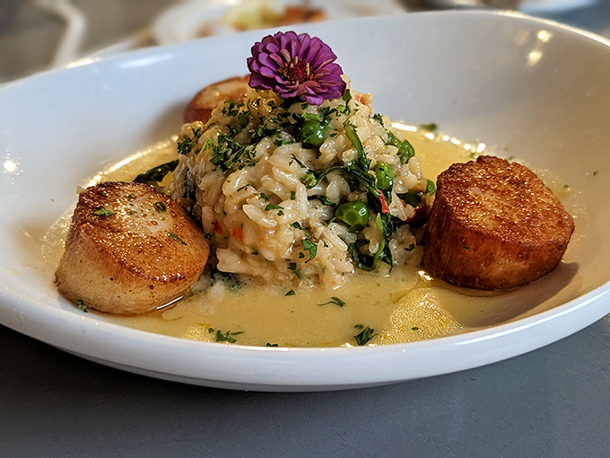 Perfectly seared scallops nestled against risotto, crowned with an edible flower. The kind of plate that makes everyone at nearby tables ask, "What is THAT?"