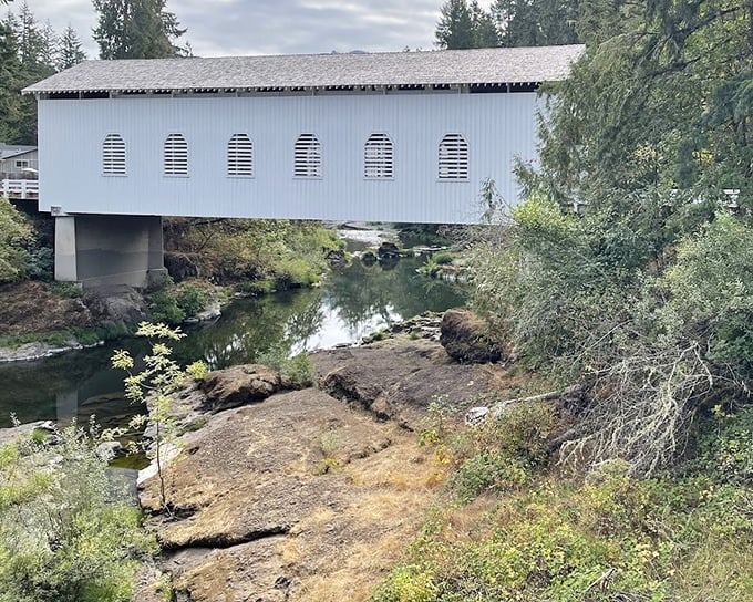 From this angle, the bridge resembles a giant white shoebox someone left in the forest. Except this box holds memories, not footwear.