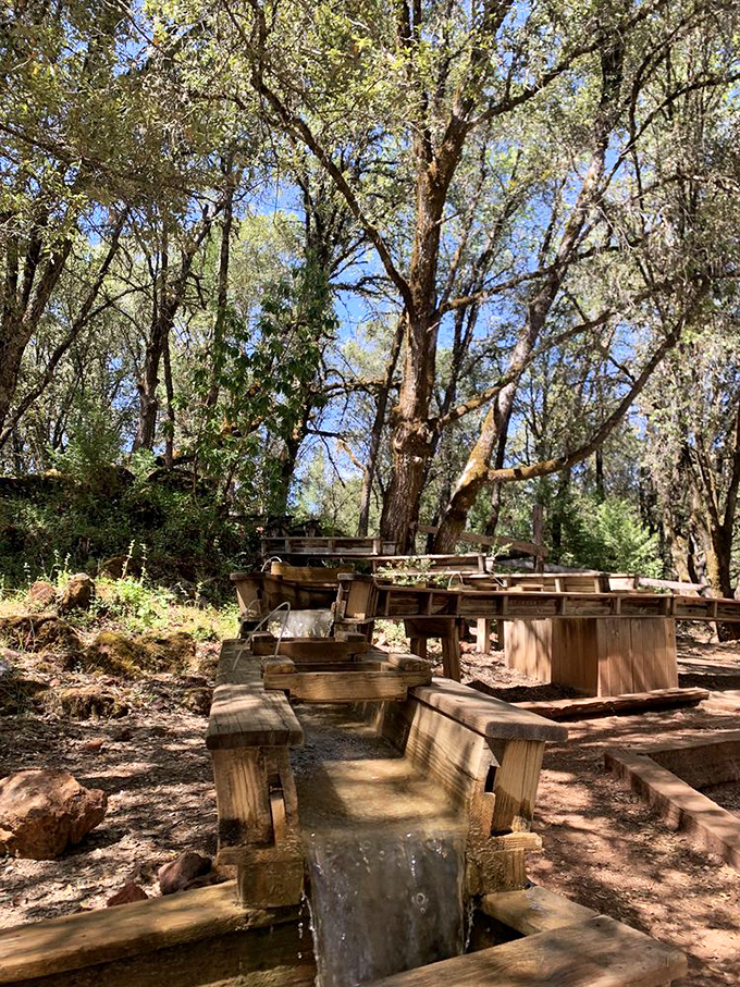 Gold Rush dreams live on! This reconstructed sluice box lets visitors pan for treasures without the backbreaking labor our ancestors endured.