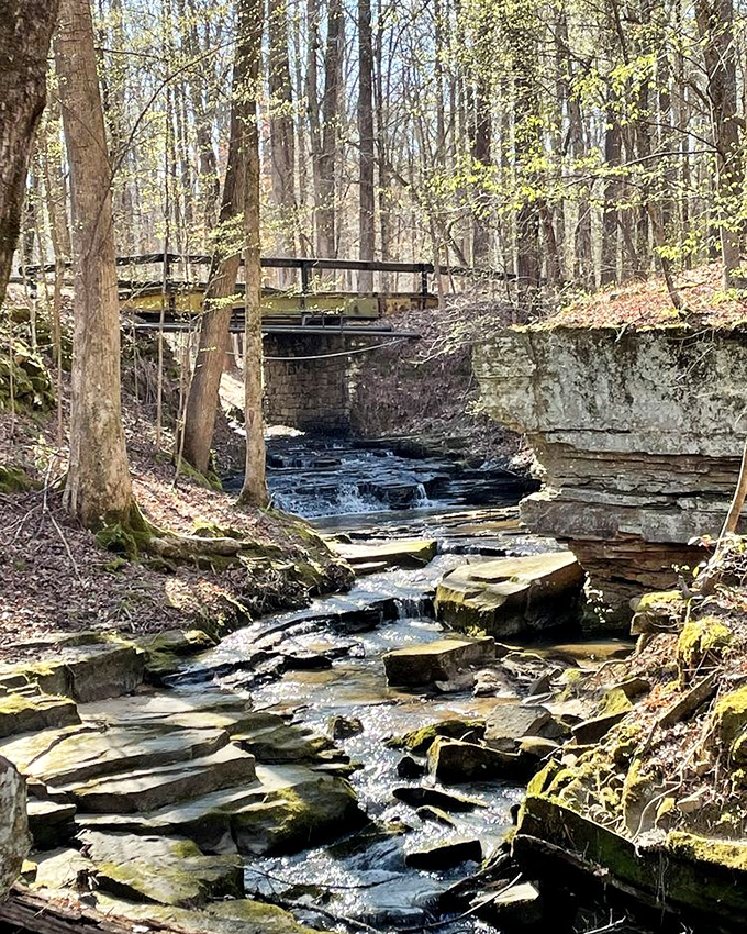 Water music at its finest&mdash;this gentle cascade creates the perfect soundtrack for forest bathing, no Spotify subscription required.