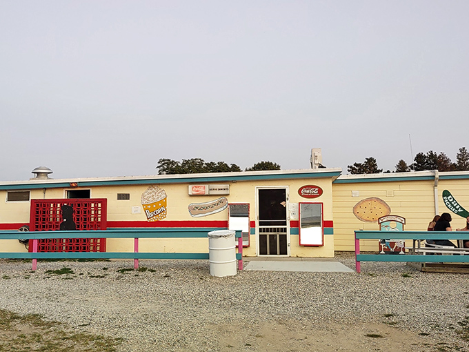 The snack bar's retro facade promises popcorn that actually tastes like childhood summers should.