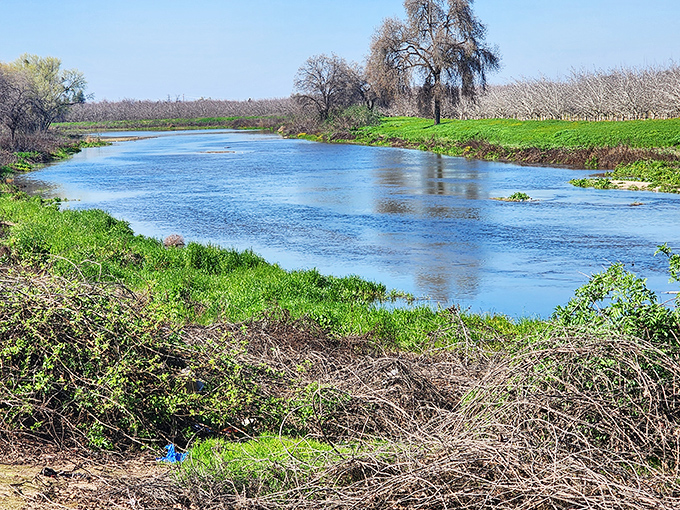 The St. Johns River Trail offers a peaceful respite where water reflects sky, and city stress dissolves with each step.