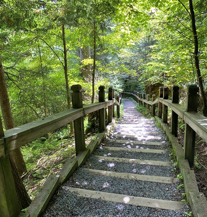 These steps lead to waterfall nirvana. Each wooden stair is like turning a page in nature's most spectacular coffee table book.