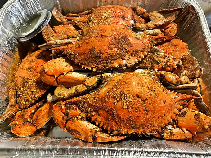 These steamed blue crabs aren't just dinner&mdash;they're a glorious, spice-dusted puzzle that rewards persistent fingers with sweet meat.