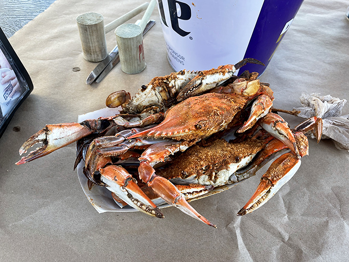 This isn't just a crab&mdash;it's a Maryland institution on a paper-lined table. The bright orange shell dusted with spices is Baltimore's version of edible art.