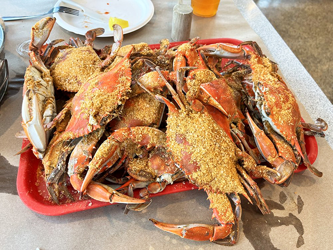 Behold the Old Bay-dusted beauties that launched a thousand road trips. These steamed Maryland blue crabs aren't just food&mdash;they're an interactive experience worth every messy minute.