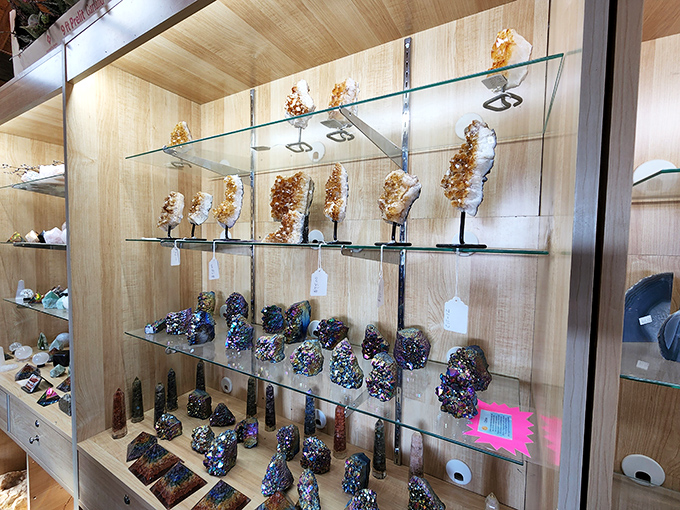 Nature's jewelry box spilled open! These dazzling geodes and crystals transform from ordinary rocks to conversation pieces for your mantel.