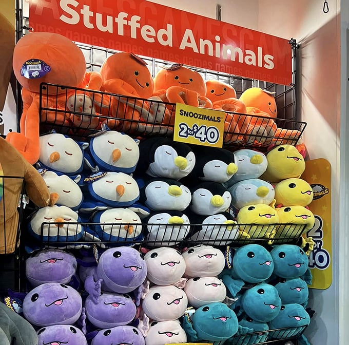 A rainbow of plush companions waiting for their forever homes. These snoozimal critters prove that comfort doesn't have to break the bank.