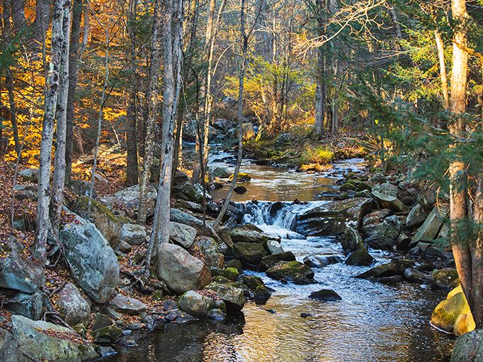 This babbling brook through Torrington's woodlands proves that the most soothing soundtrack in life is absolutely free.