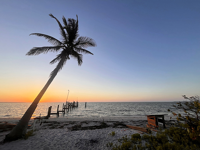 That moment when Mother Nature shows off at sunset. This postcard-perfect palm silhouette is what vacation dreams are made of.